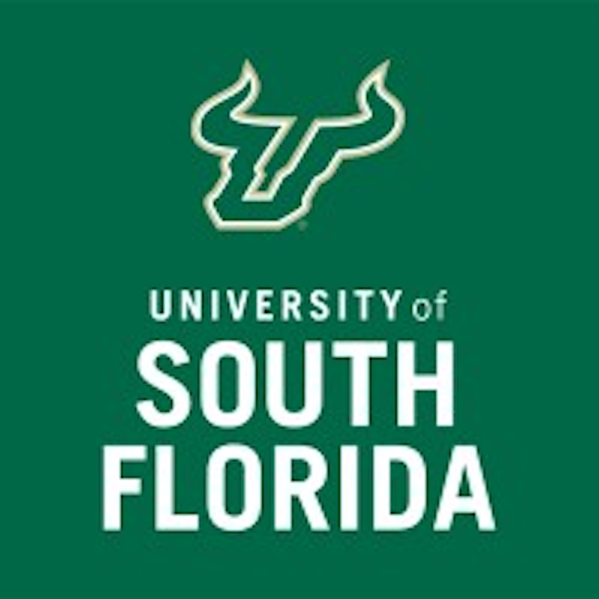University Of South Florida: $40 Million Gift Received To Establish Bellini College Of ...