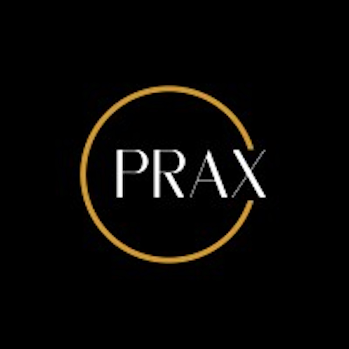 PRAX: Interview With Founder Alex Geesbreght About His Leadership Programs