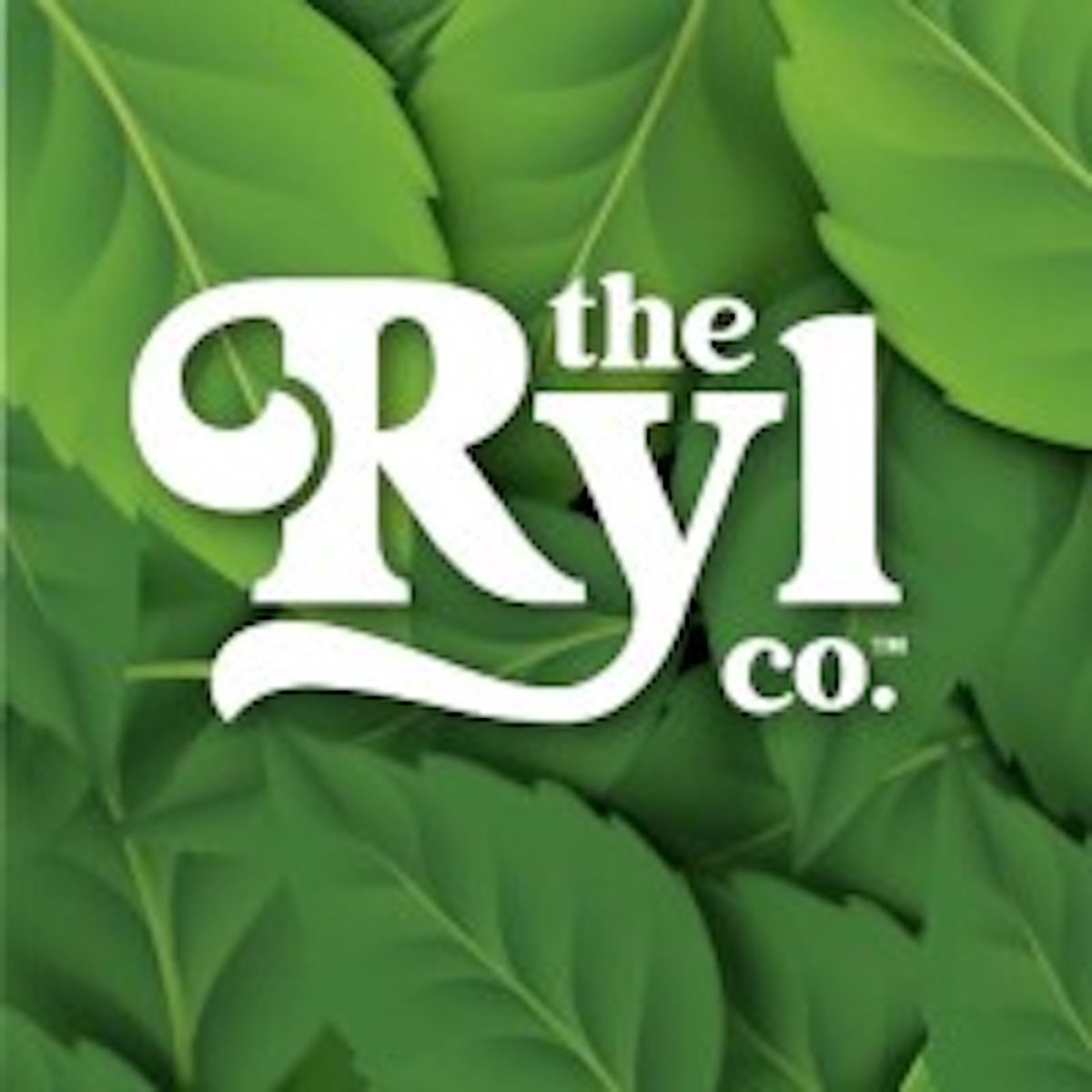 The Ryl Company: $15 Million (Series B) Secured For Transforming ...