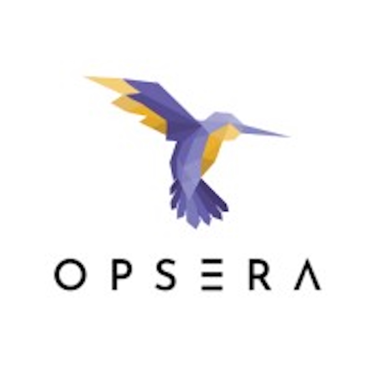 Opsera: $20 Million (Series B) Secured For AI-Based DevOps Platform ...
