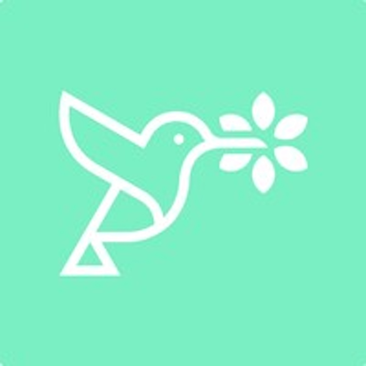 Blooming Health: $26 Million Series A Closed To Advance Social Care ...