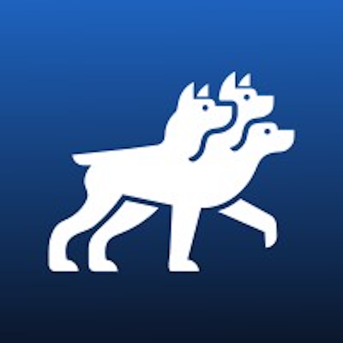 Cerby: $40 Million Series B Raised For Automating Identity Security