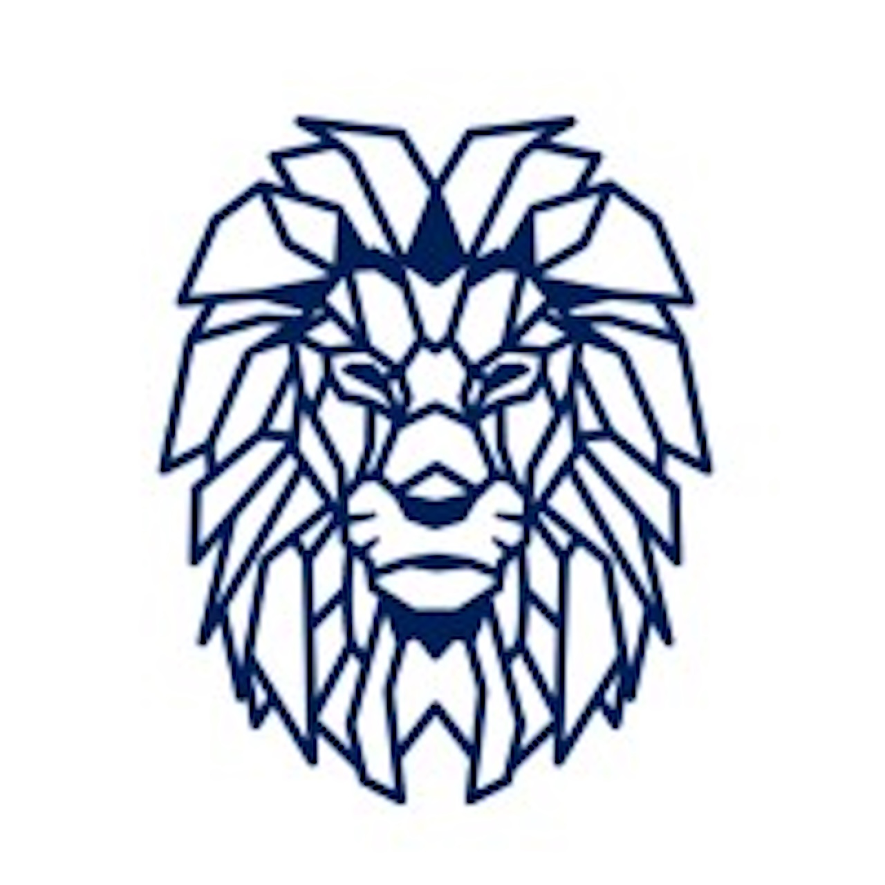 Lioncrest Ventures: $100 Million Multi-Strategy Platform Debuted