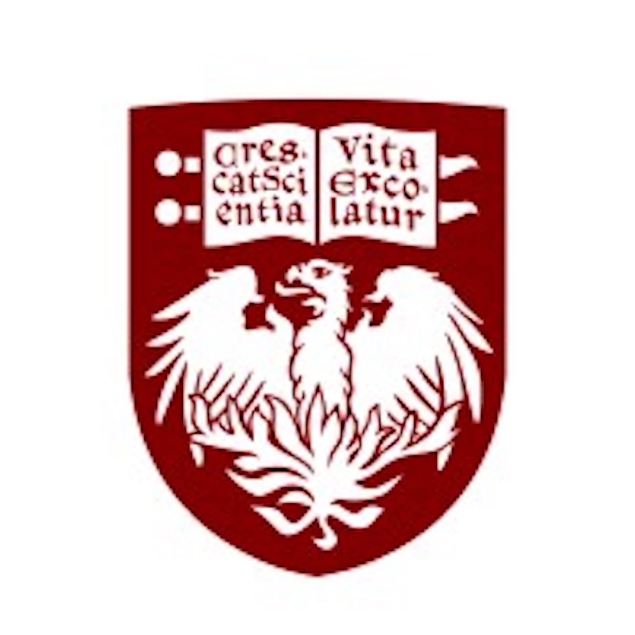 UChicago And IBM Partnering To Boost Illinois Quantum Startups