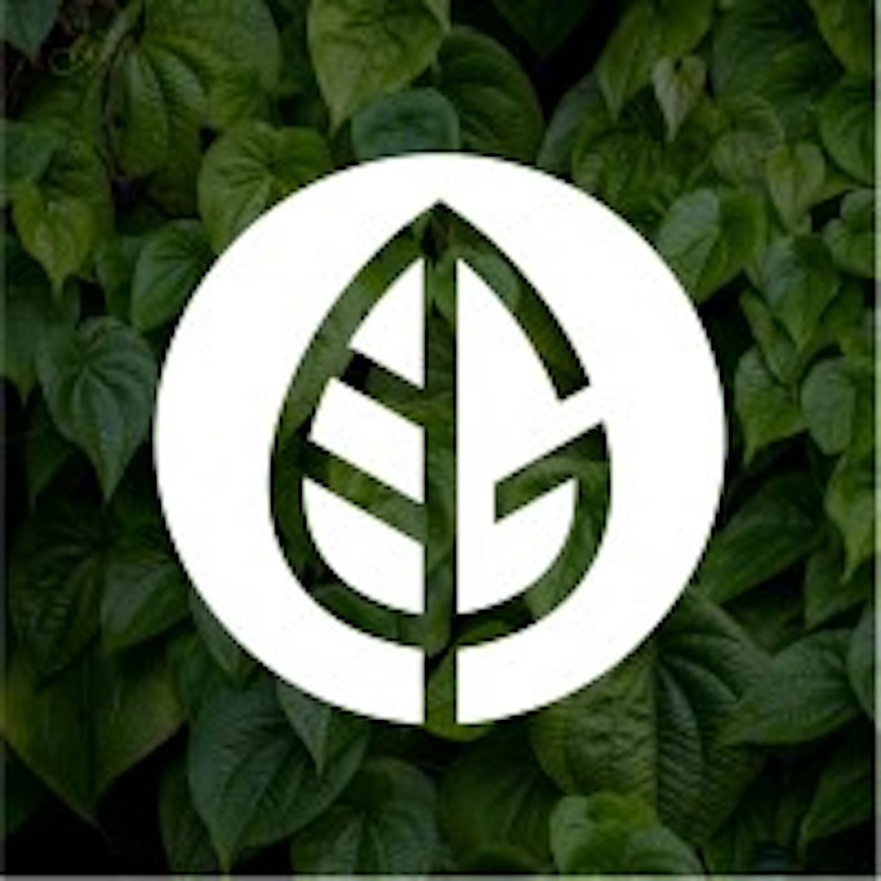 Gridiron Capital Partners With Greenix To Expand Eco-Conscious Pest ...