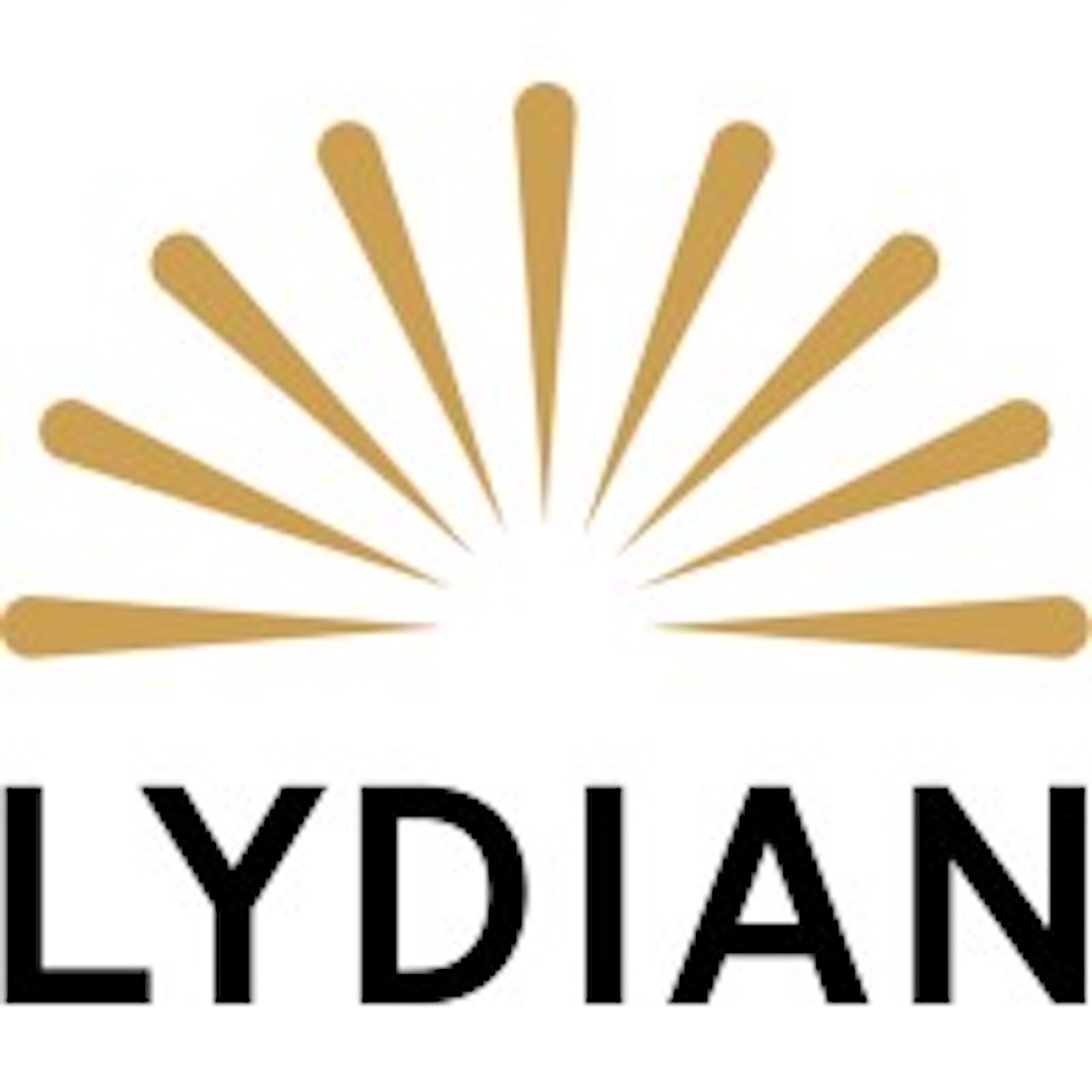 Lydian Energy: $233 Million Financing Raised For Advancing Battery Storage Projects