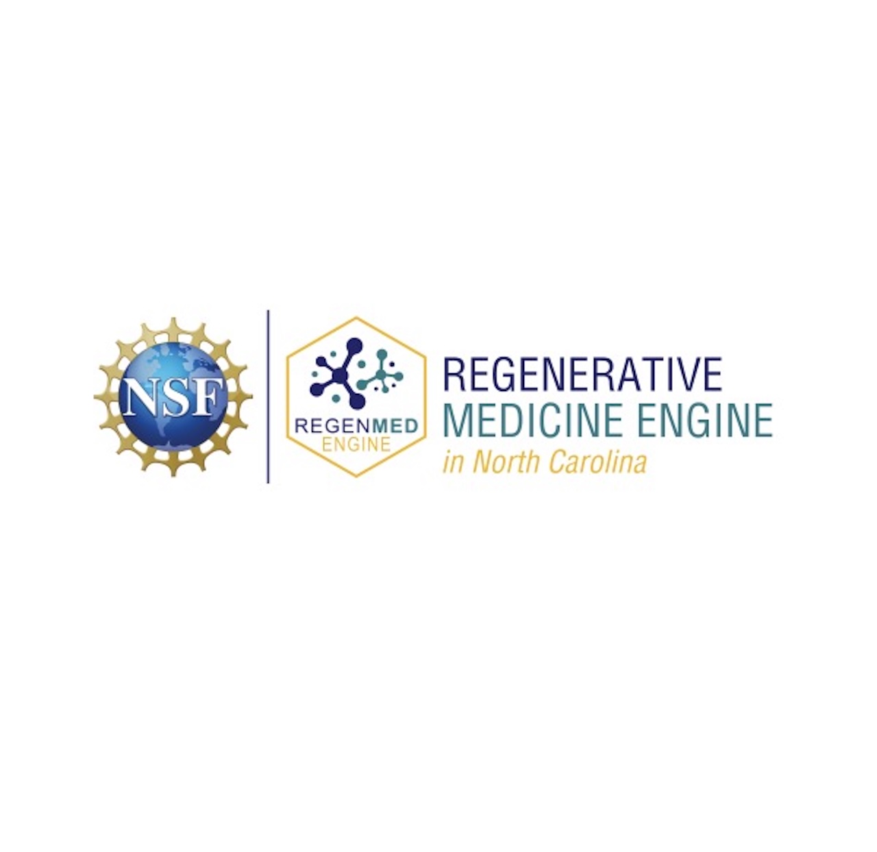 Dr. Tim Bertram: Interview With The CEO Of Regenerative Medicine Engine