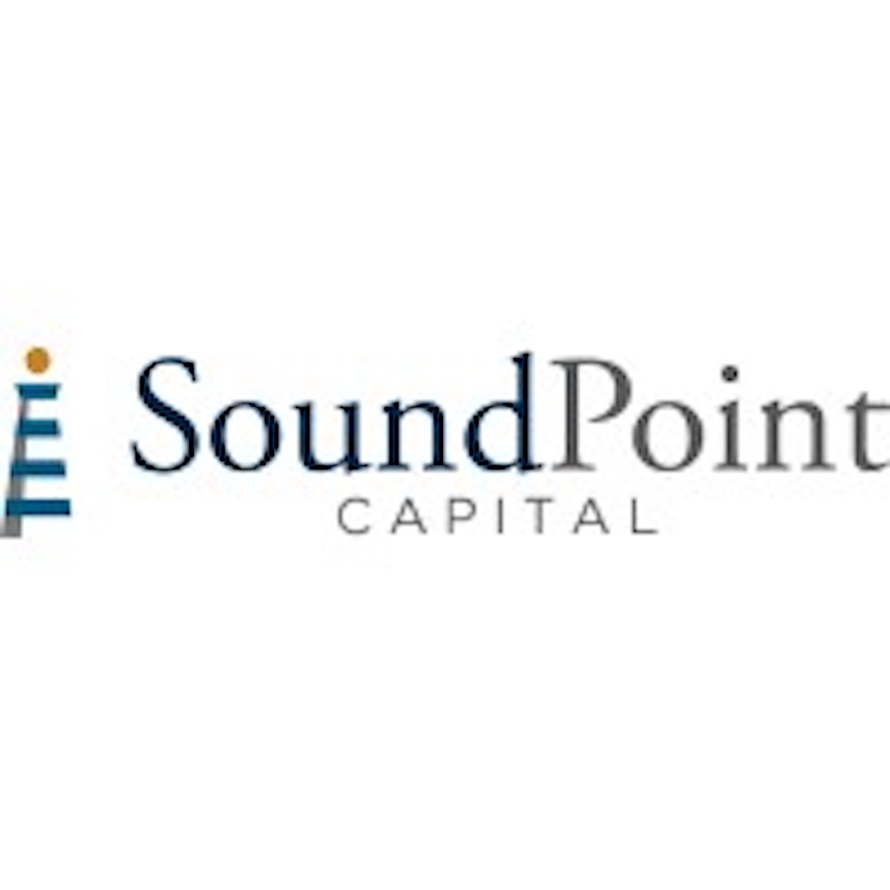 Sound Point Capital: $1.1 Billion In Commitments Raised For First ...