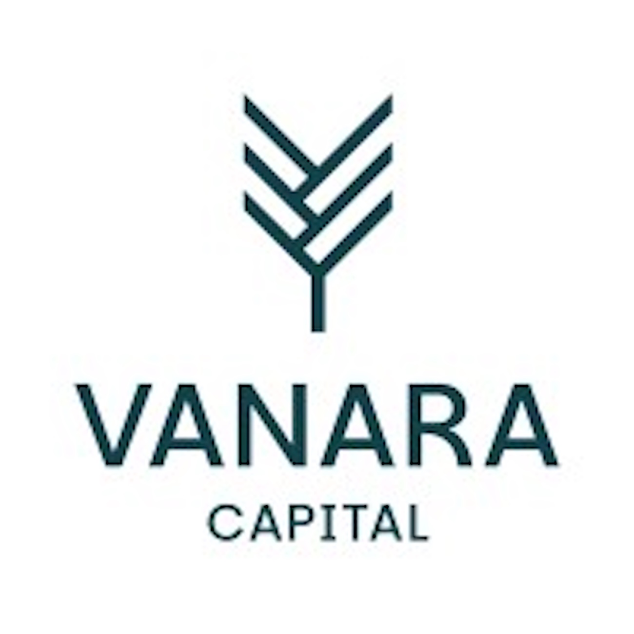Vanara Capital Launched Via Strategic Partnership With TPG