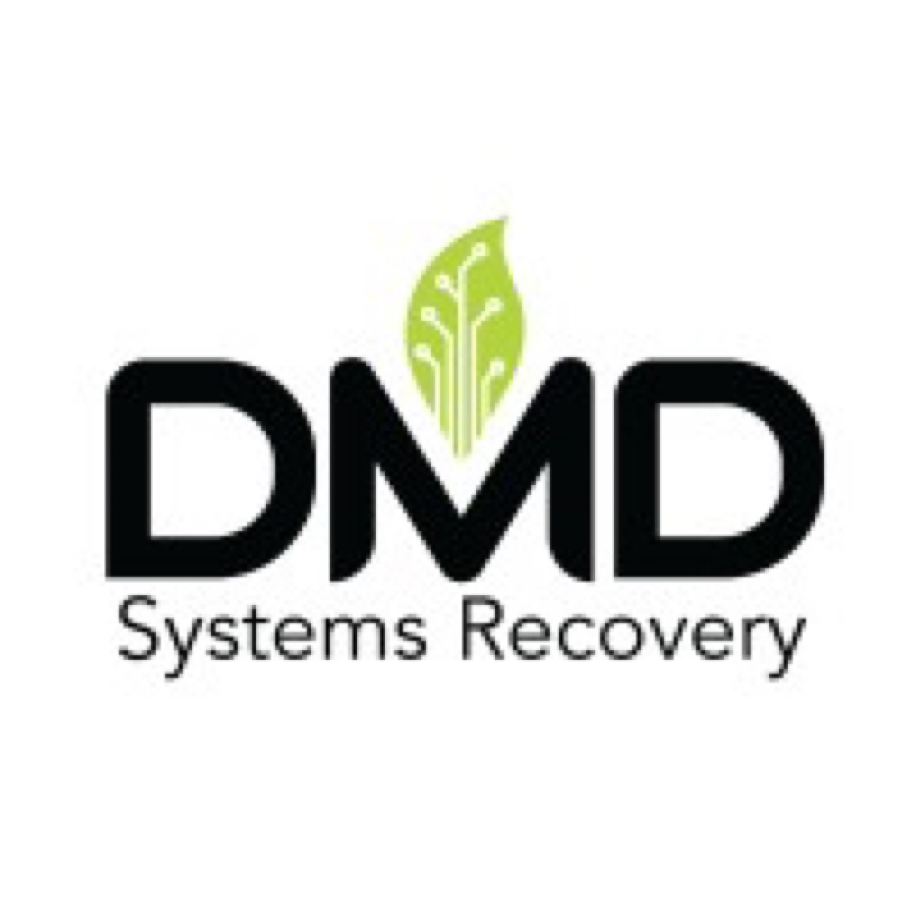 DMD Systems Recovery: Strategic Investment Raised From from Tailwind
