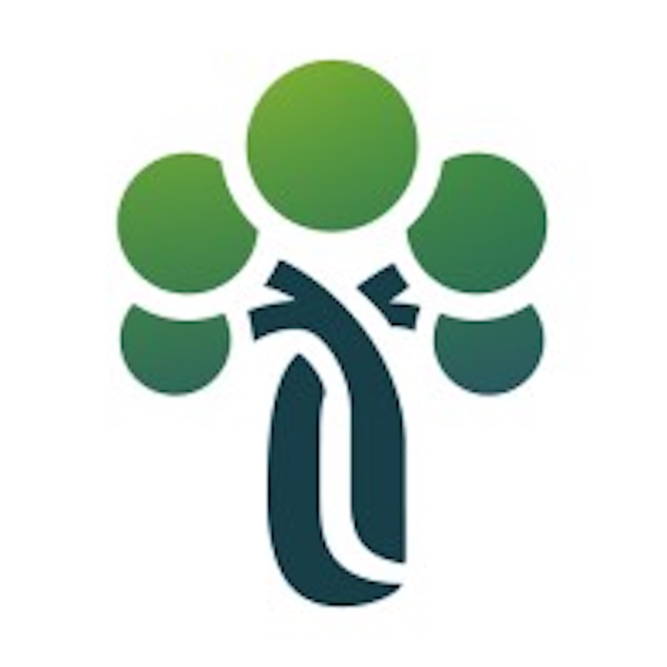 Ketryx: $39 Million Series B Raised For Advancing AI-Based Compliance ...