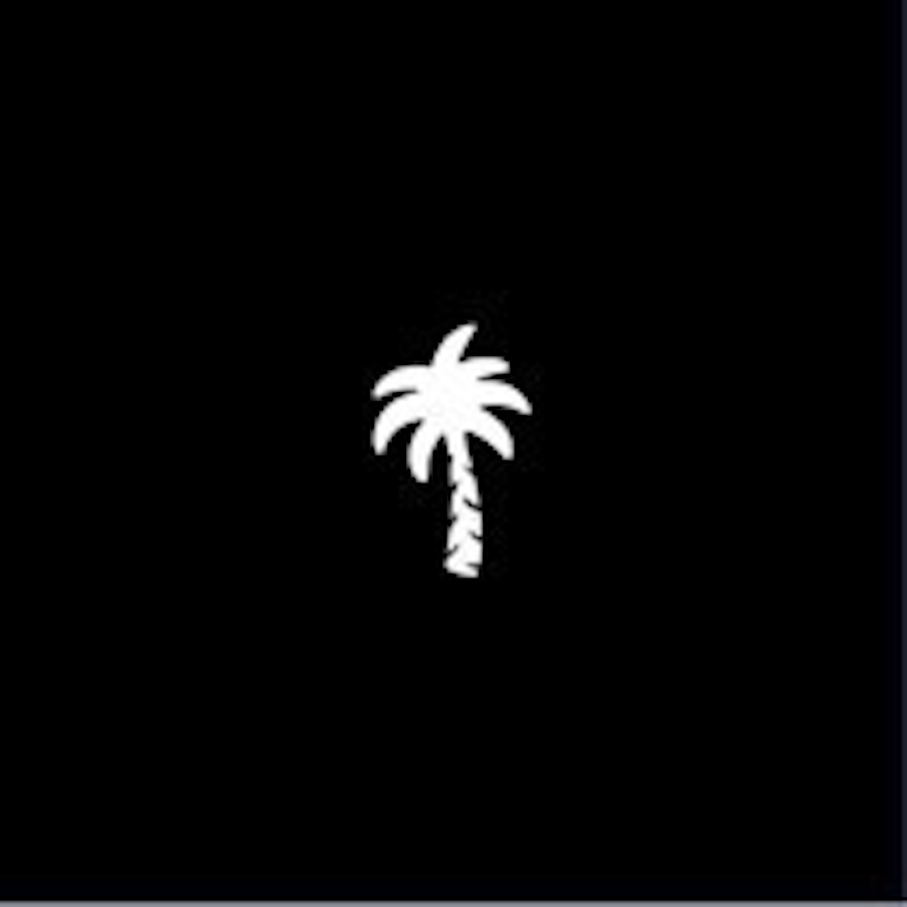 Palm Tree Crew: $20 Million Series B At $215 Million Valuation Raised ...