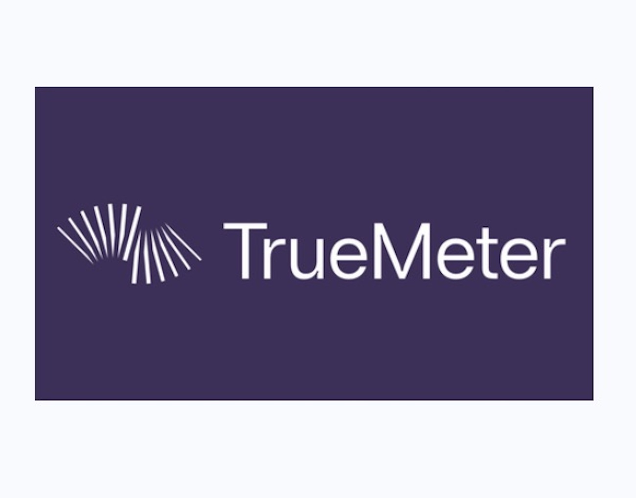 TrueMeter: $4 Million Seed Funding Raised For Expanding AI Energy ...