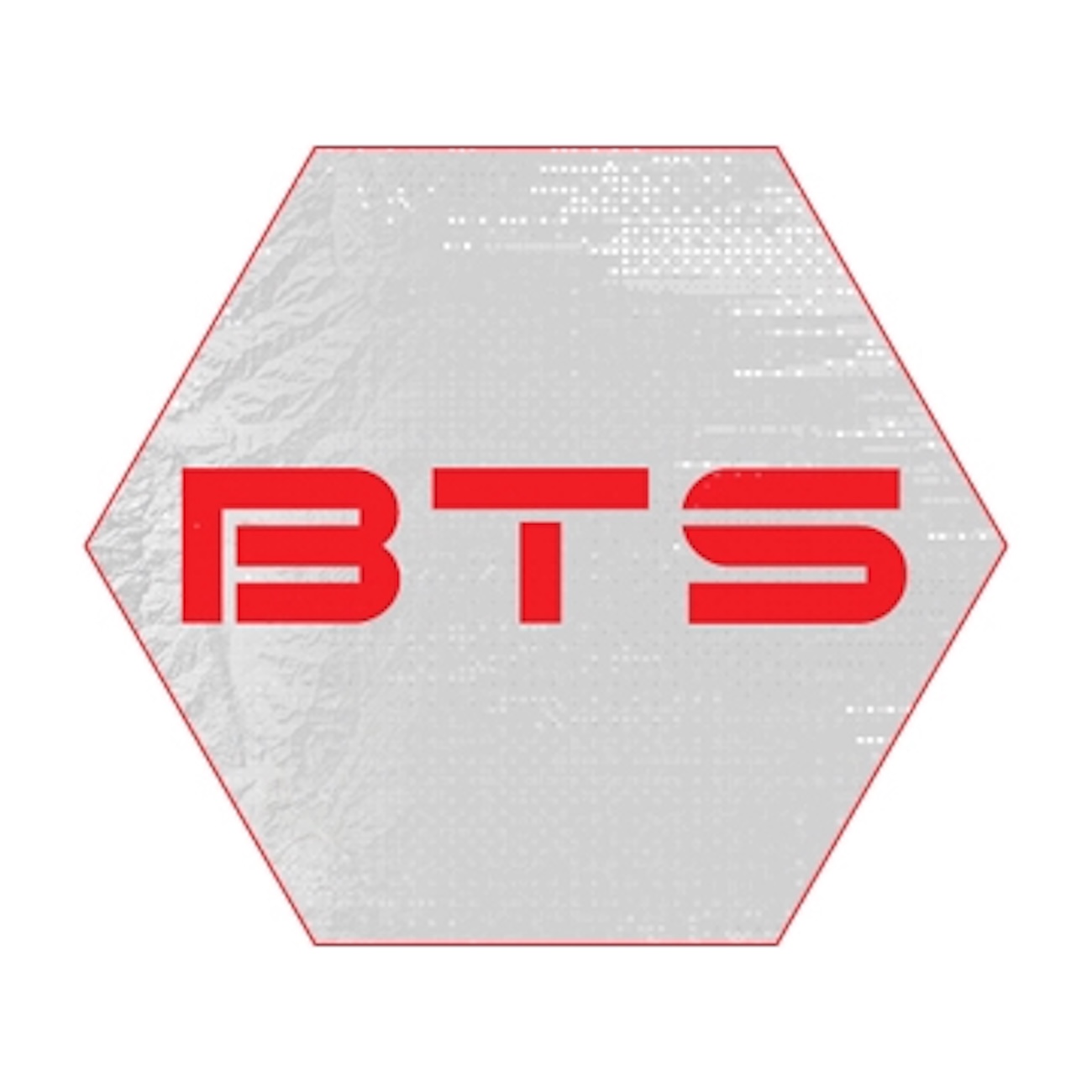 BTS Software Solutions: Investment Raised From Blue Delta Capital Partners