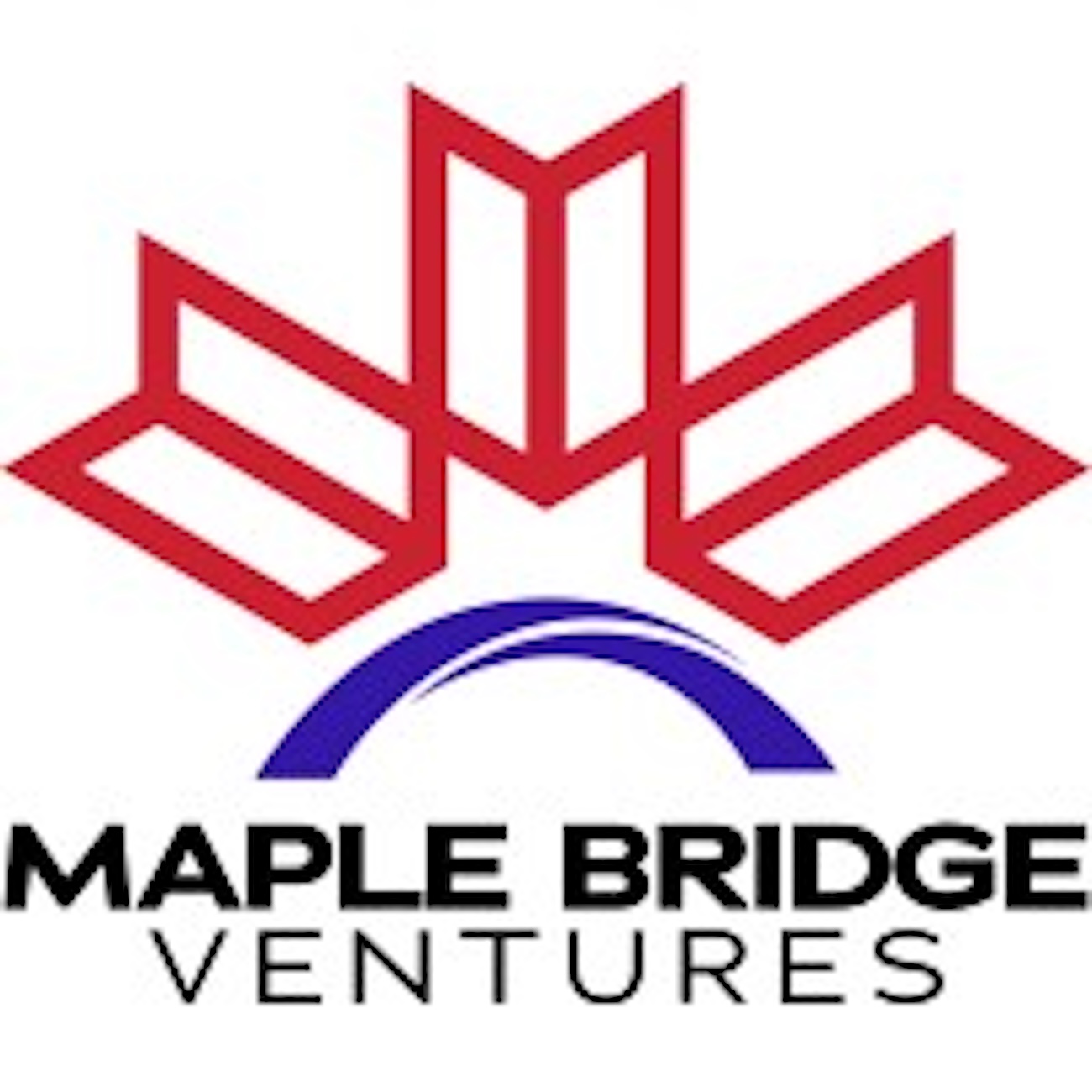 Maple Bridge Ventures: C$10.2 Million Closed To Back Immigrant Founders