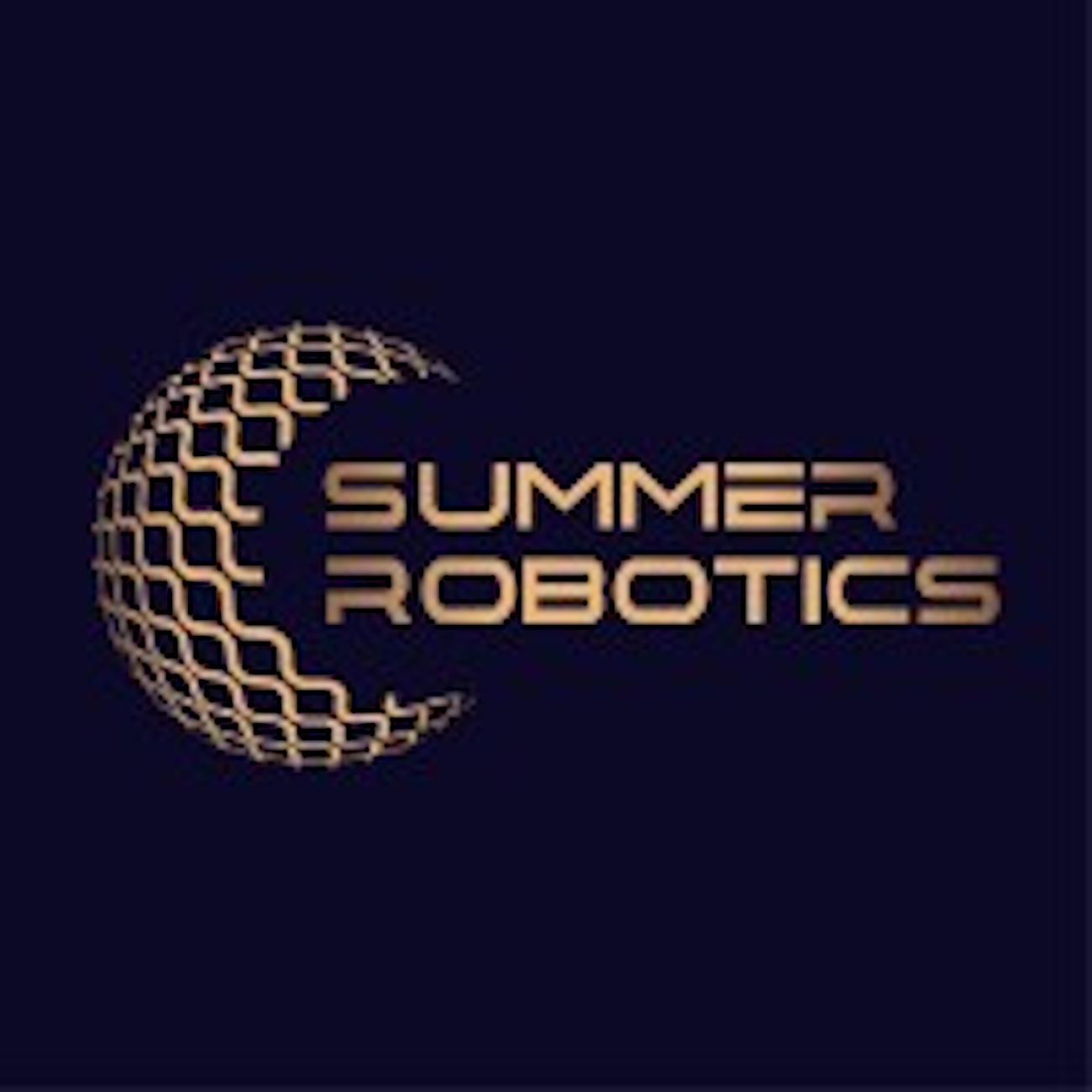 Summer Robotics: Series A Funding Raised For Vision-Guided Robots