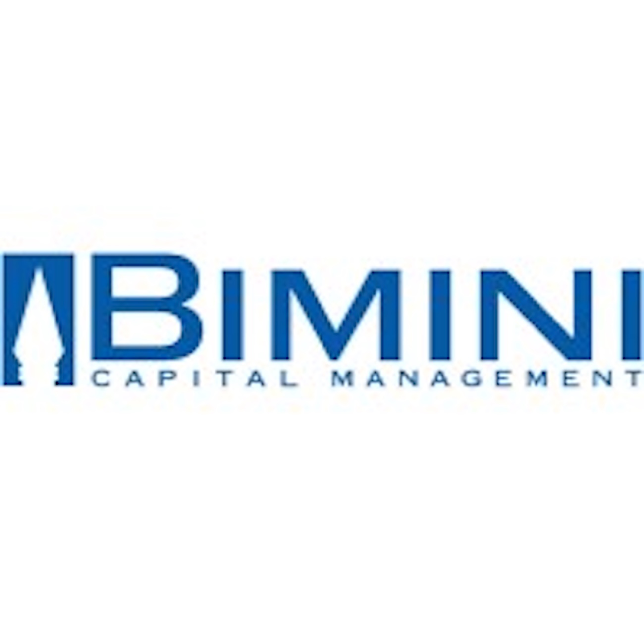 Bimini Capital Management Appoints Ashley Griffith To Board