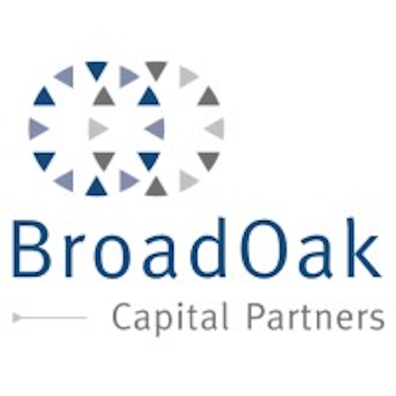 BroadOak Capital Partners Announces New Investments Across Life ...