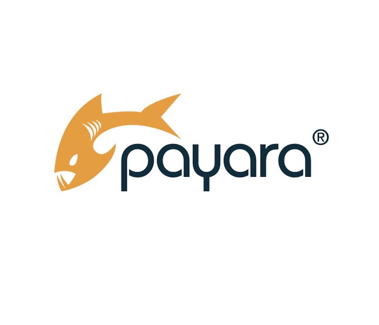 Payara Services: Interview With Founder Steve Millidge About The Enterprise Platform Company