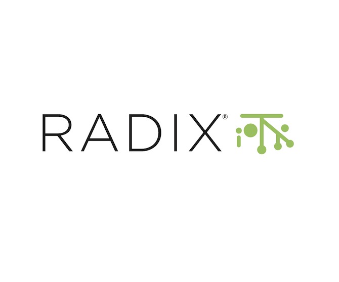 Radix: Interview With Co-Founder Michael Skurla About The Real-Time ...