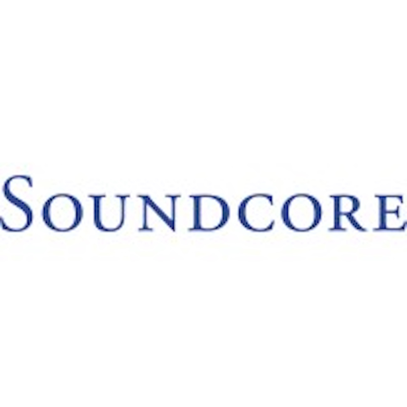 Soundcore Capital Partners Launches Reliable Energy Partners With ...