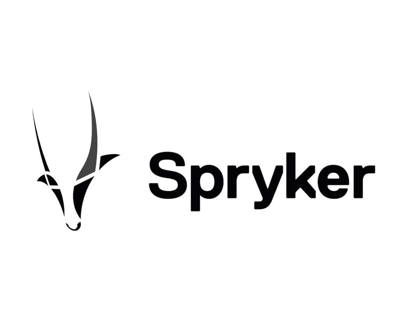 Spryker: Interview With Co-Founder & Co-CEO Alex Graf About The ...