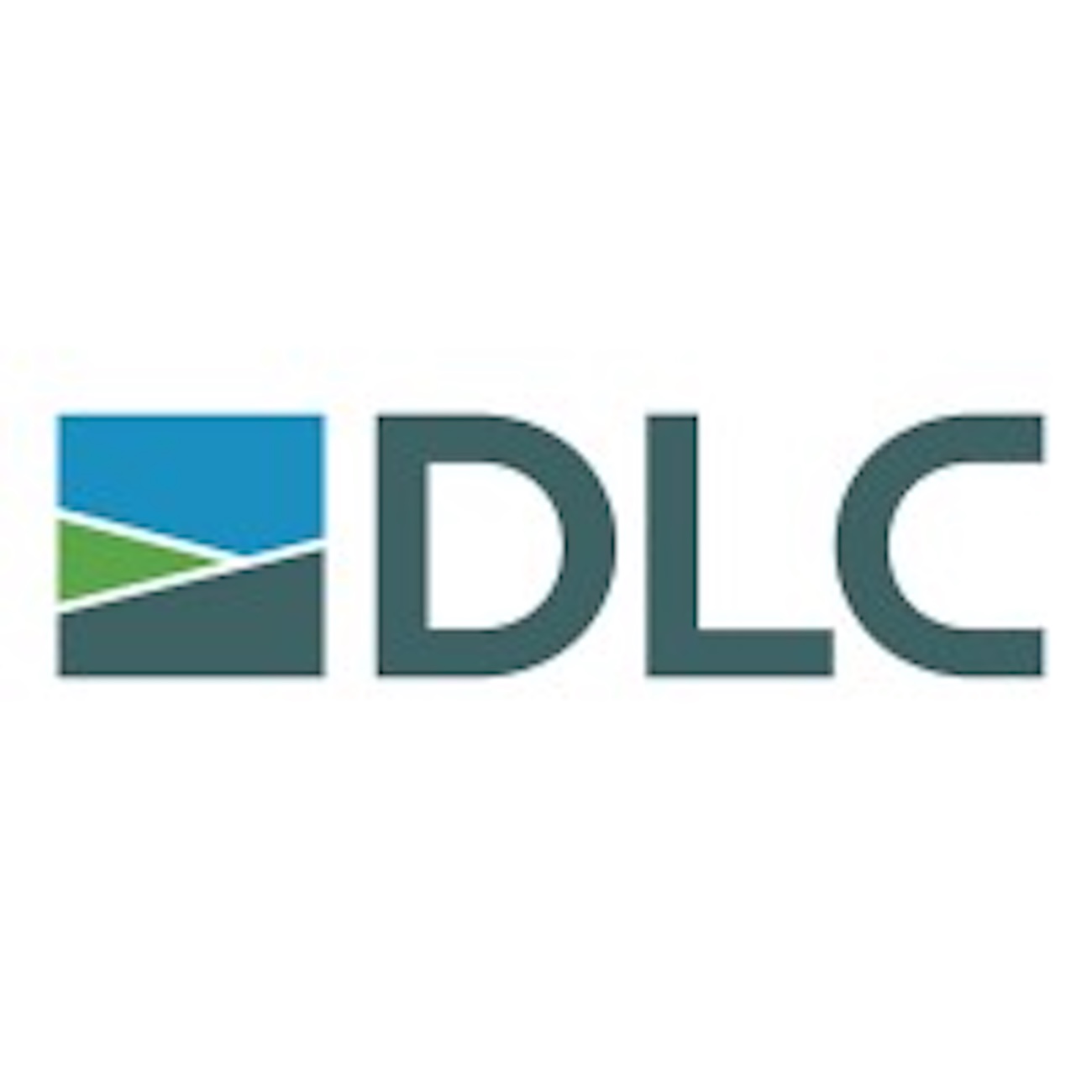 DLC Buys $429 Million Multistate Retail Portfolio In Partnership With ...
