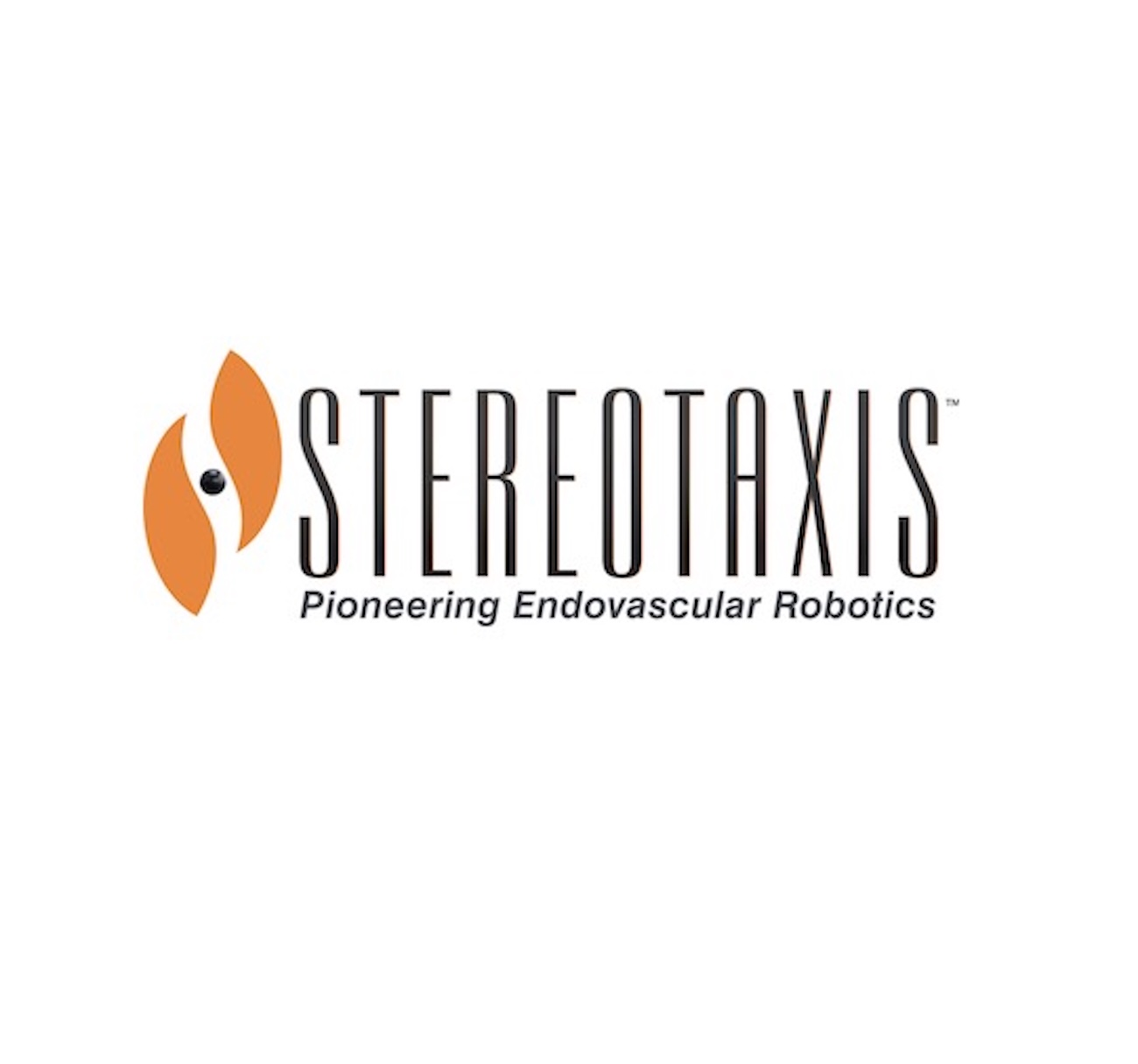 Stereotaxis: Interview With Chairman & CEO David Fischel About The ...