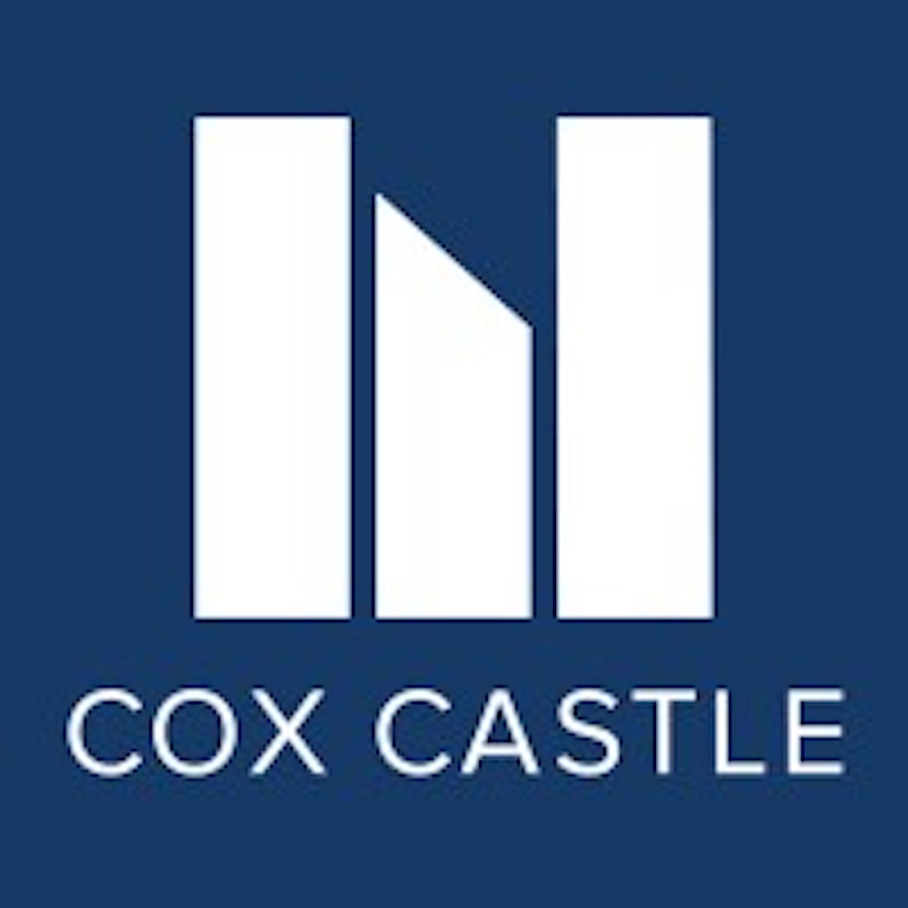 Cox Castle Names Scott Laes And Jamie Sprague Partners
