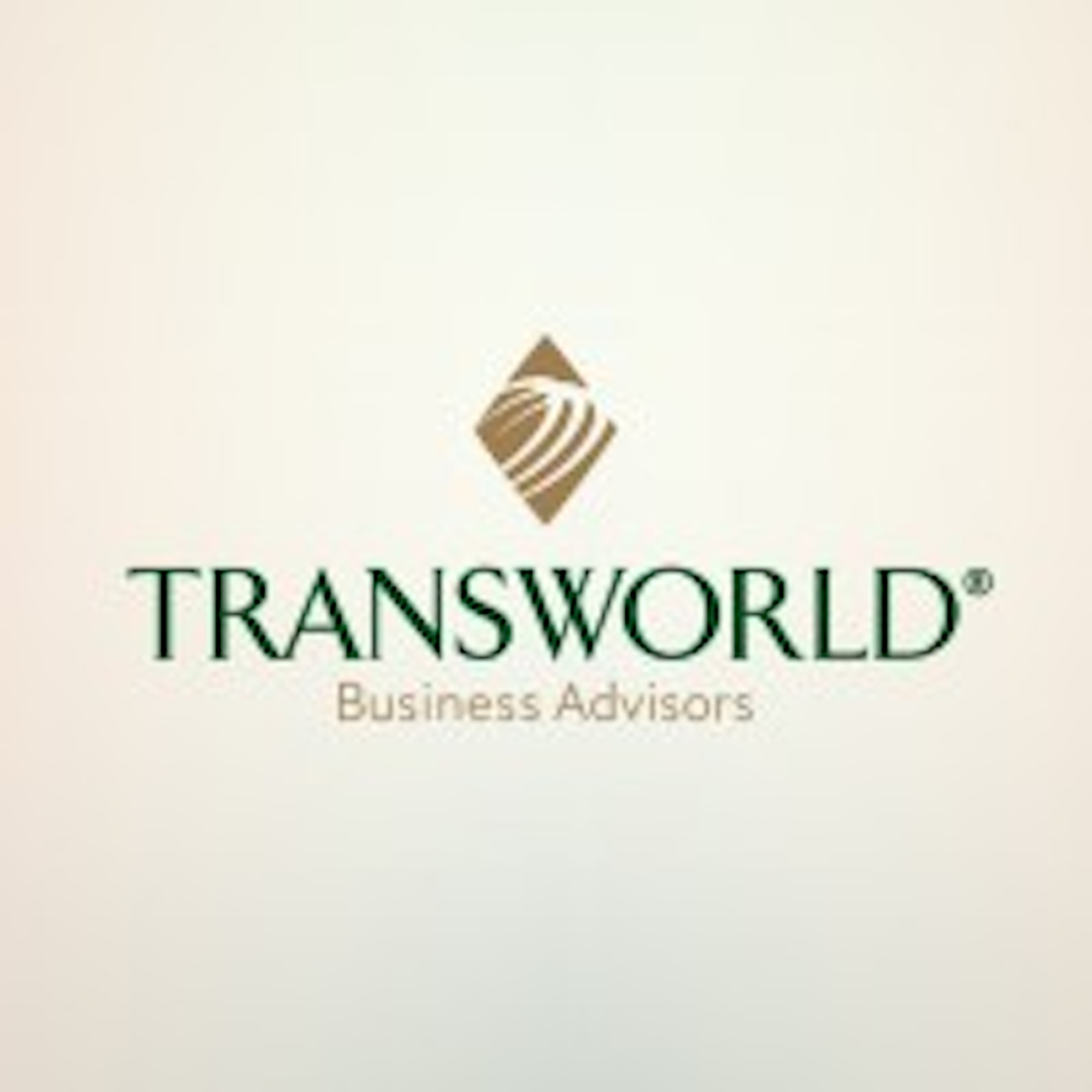 Transworld Business Advisors Partners With BizScout To Syndicate Active ...