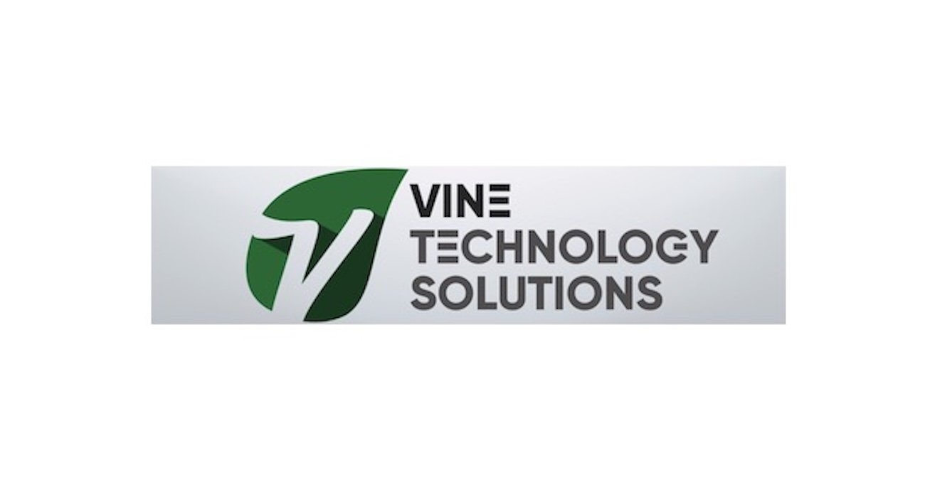 Vine Technology Solutions: Interview With Founder & Principal Donte ...