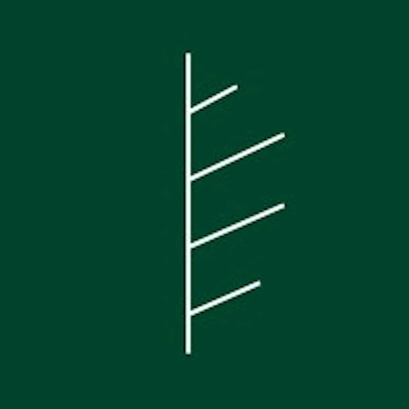 Maple Park Capital Partners Appoints Steve Wiborg As Operating Advisor
