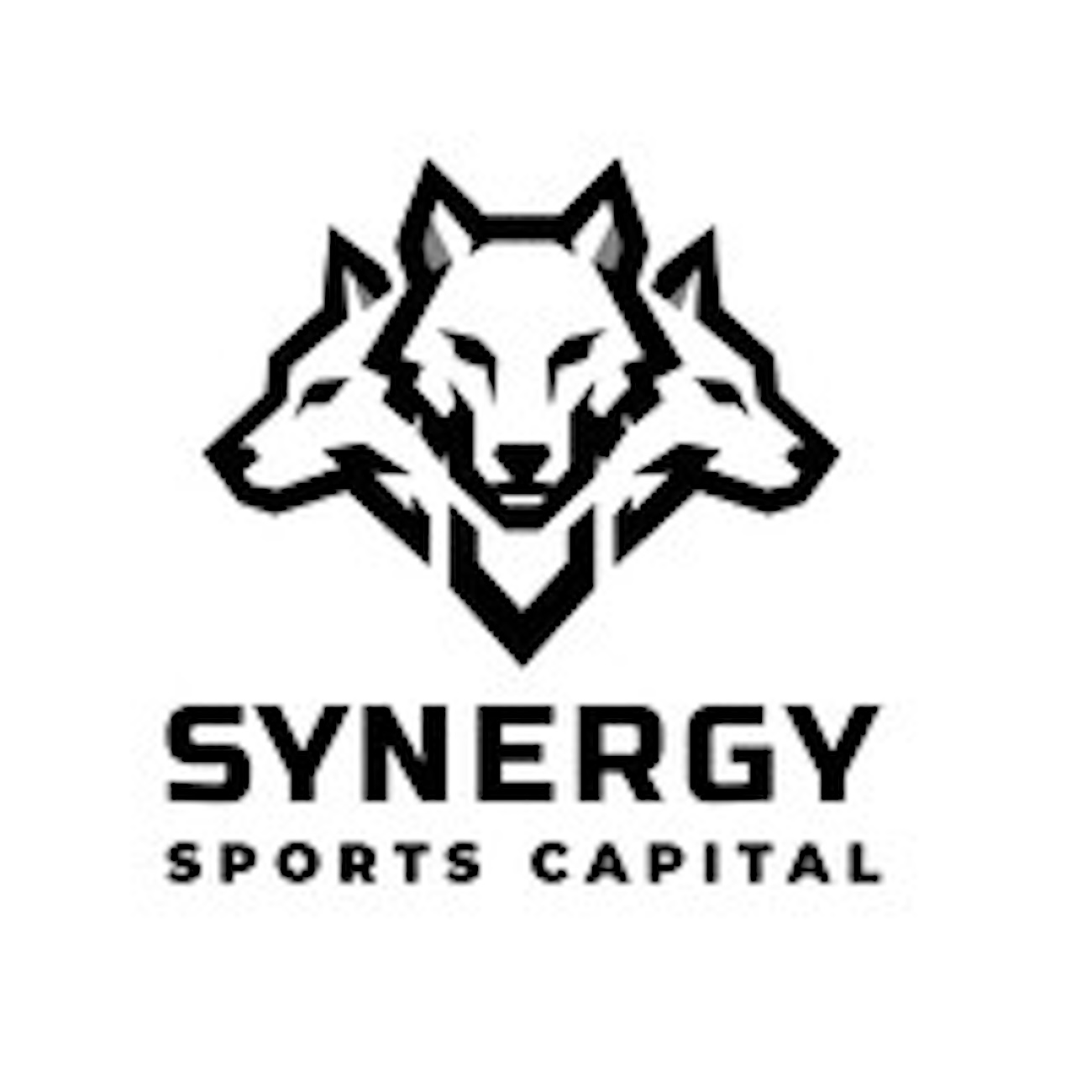 Synergy Sports Capital: $150 Million Target For Fund Investing In ...