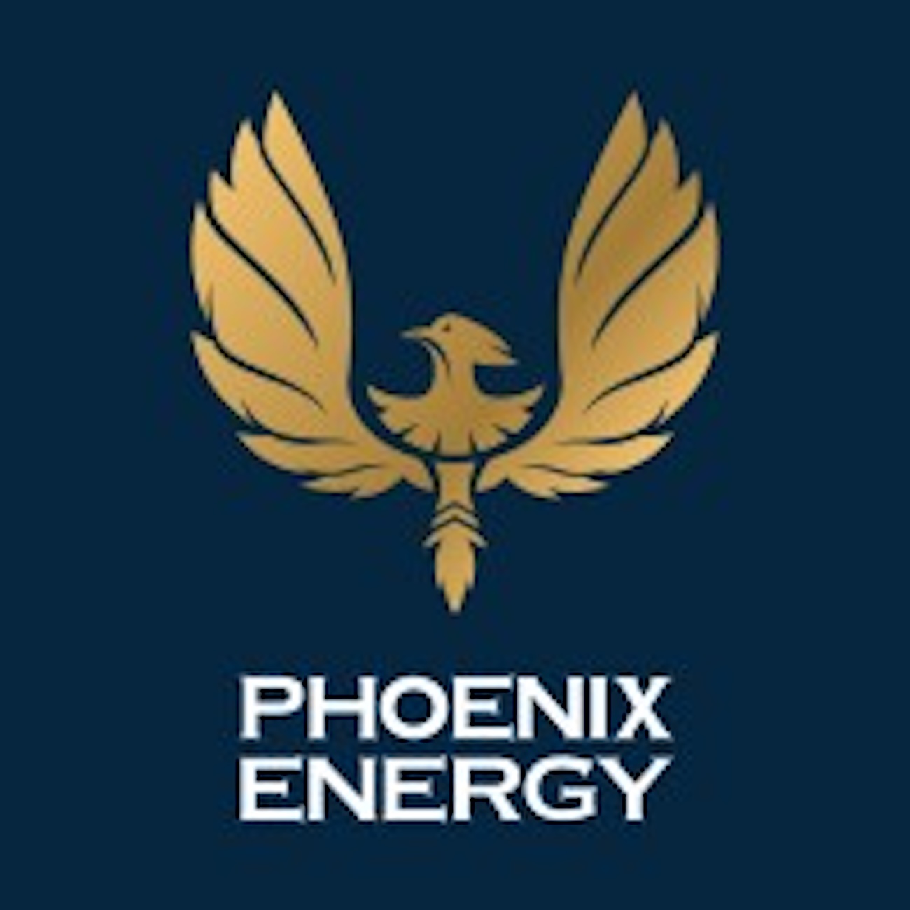 Phoenix Energy: Interview With CEO Adam Ferrari About The Energy ...