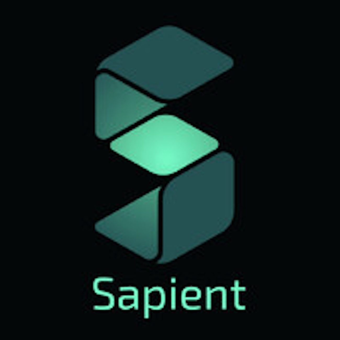 Sapient Perception: €2 Million Pre-Seed Round To Advance AI Sensor ...