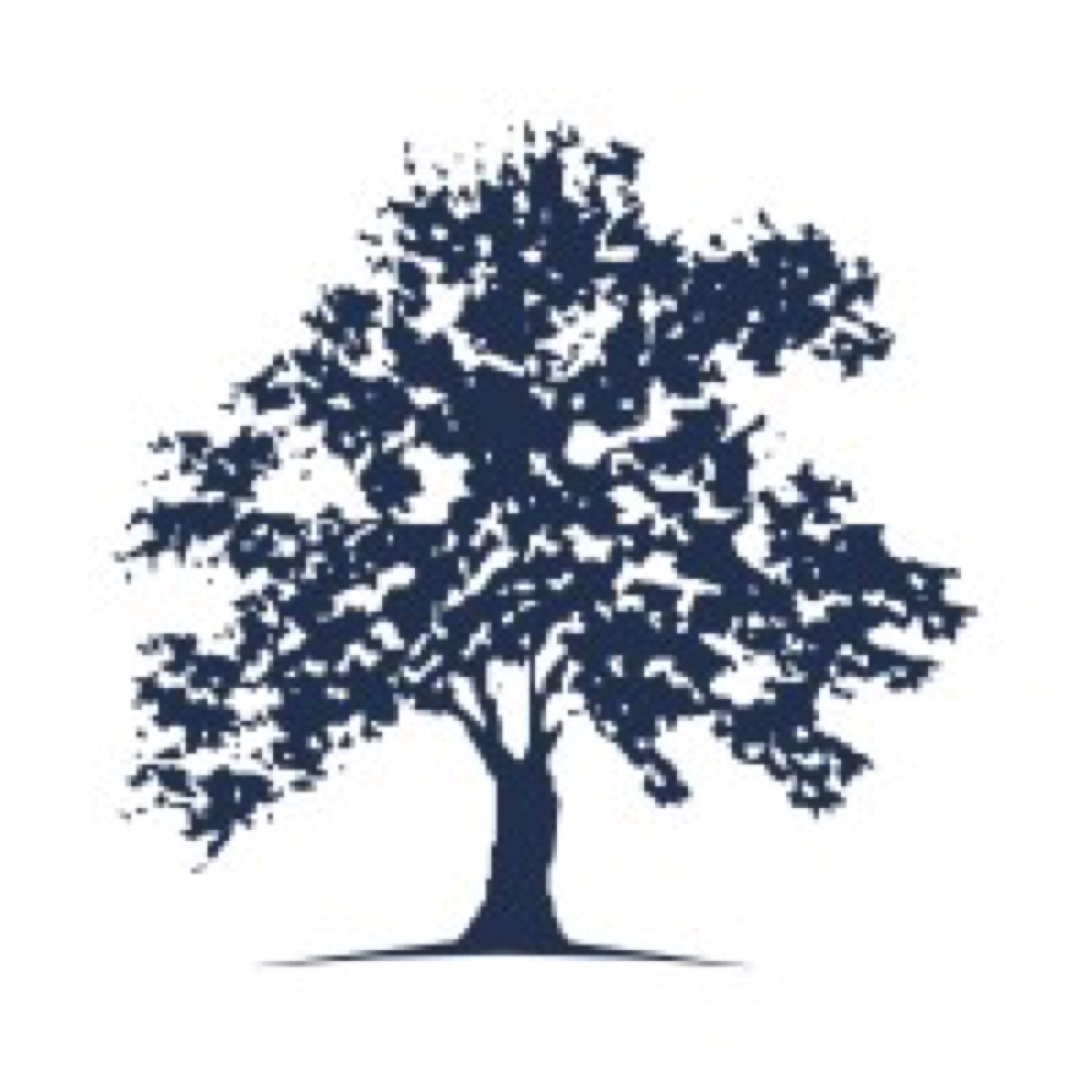 White Oak Commercial Finance Provides $25 Million Asset-Based Lending ...